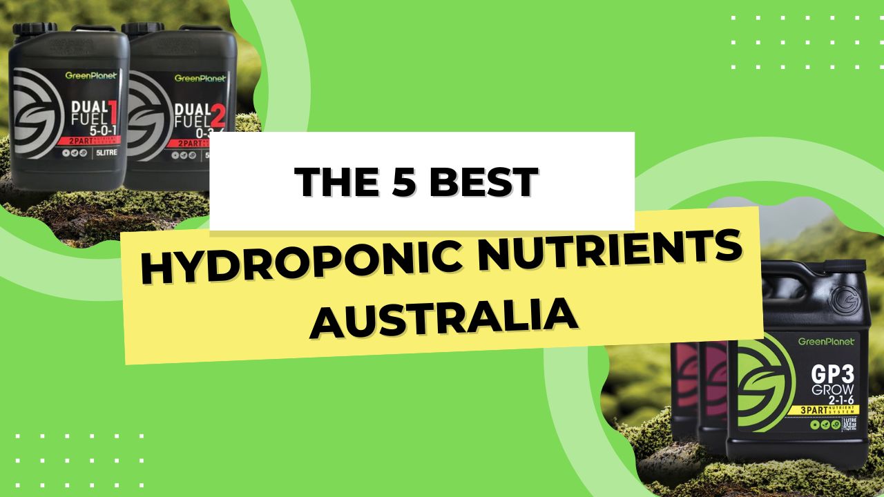The 5 Best Hydroponic Nutrients Australia - Grow Kings