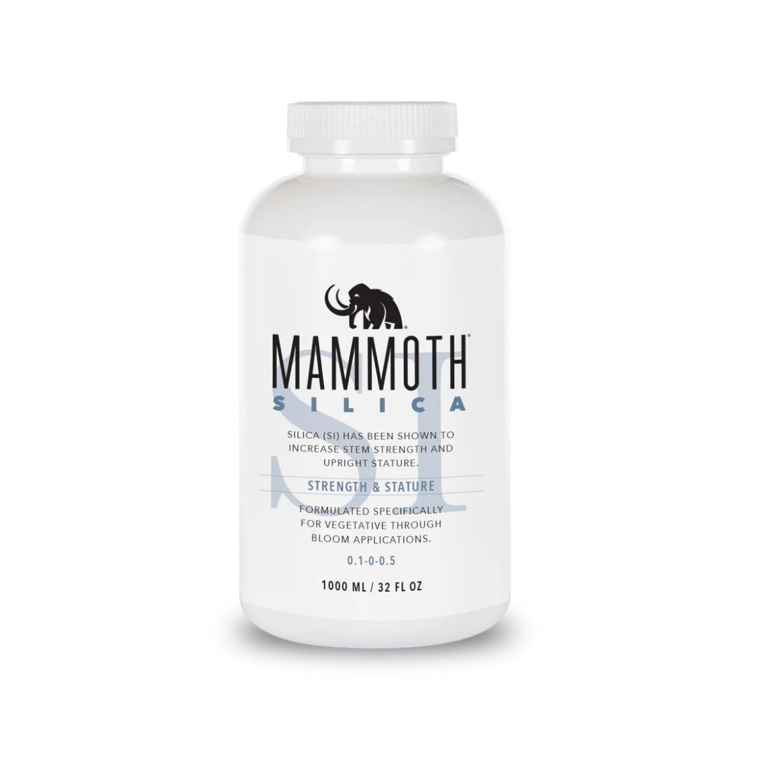 Mammoth Silica SI - 1L