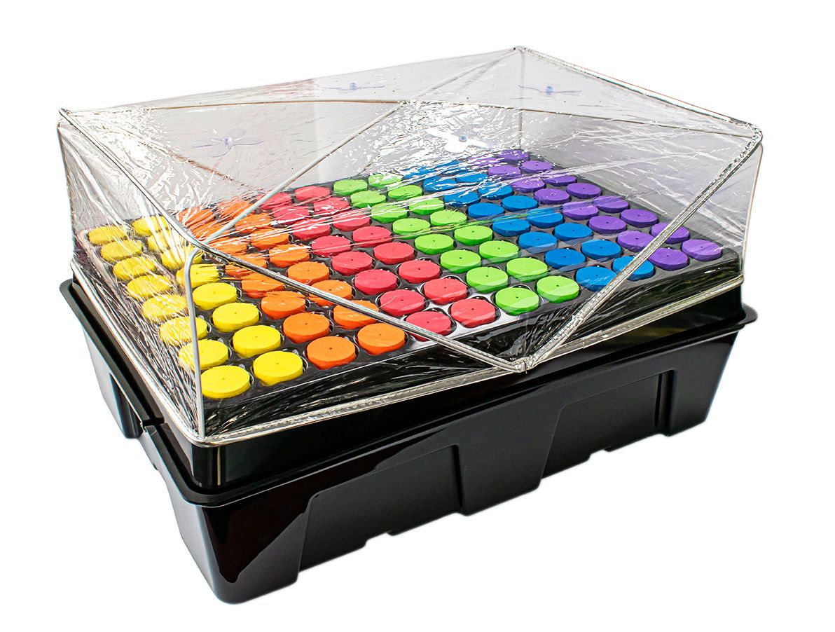 Sea hawk Cloning Station 96 Cutting Spaces